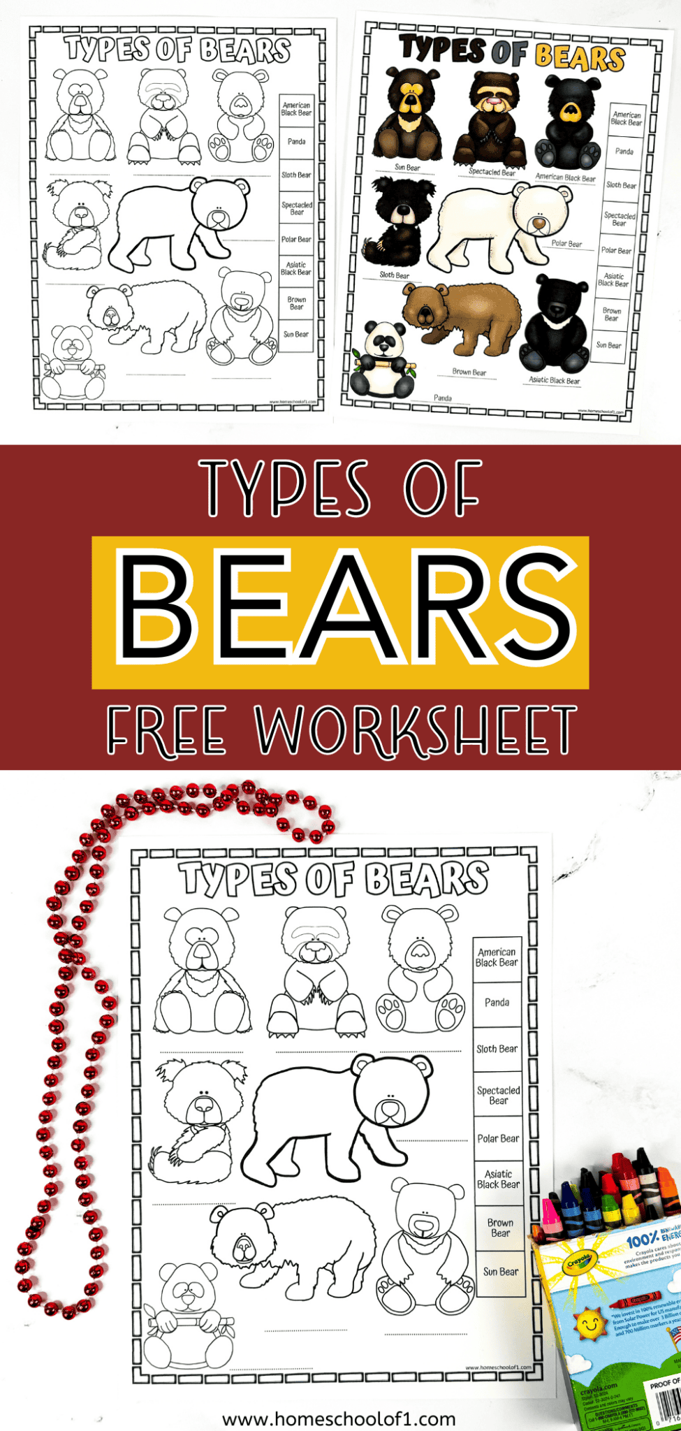 Different Types of Bears Worksheet (Free Printable)