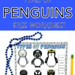 Different Types of Penguins Worksheet (Free Printable)