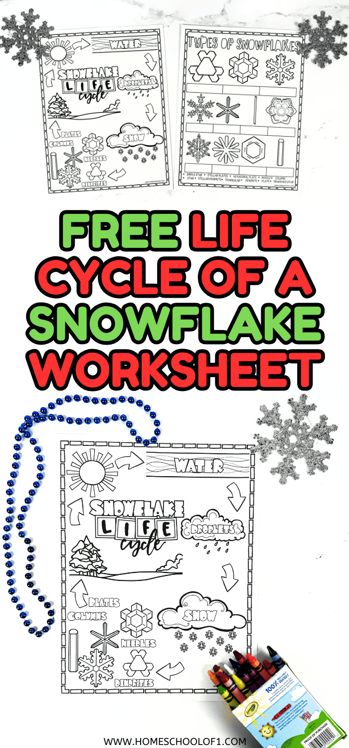 Free Snowflake Life Cycle Worksheet
