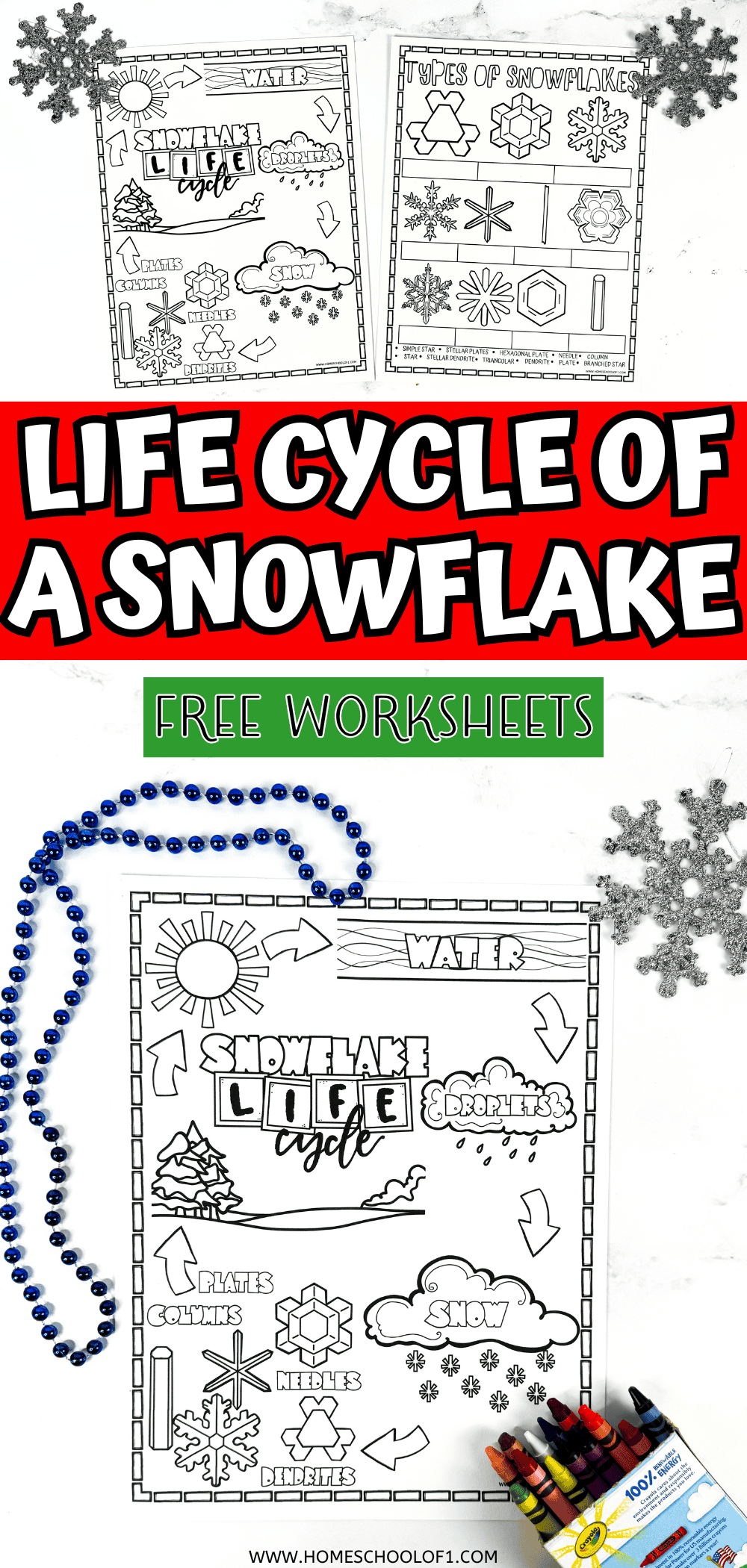Free Snowflake Life Cycle Worksheet