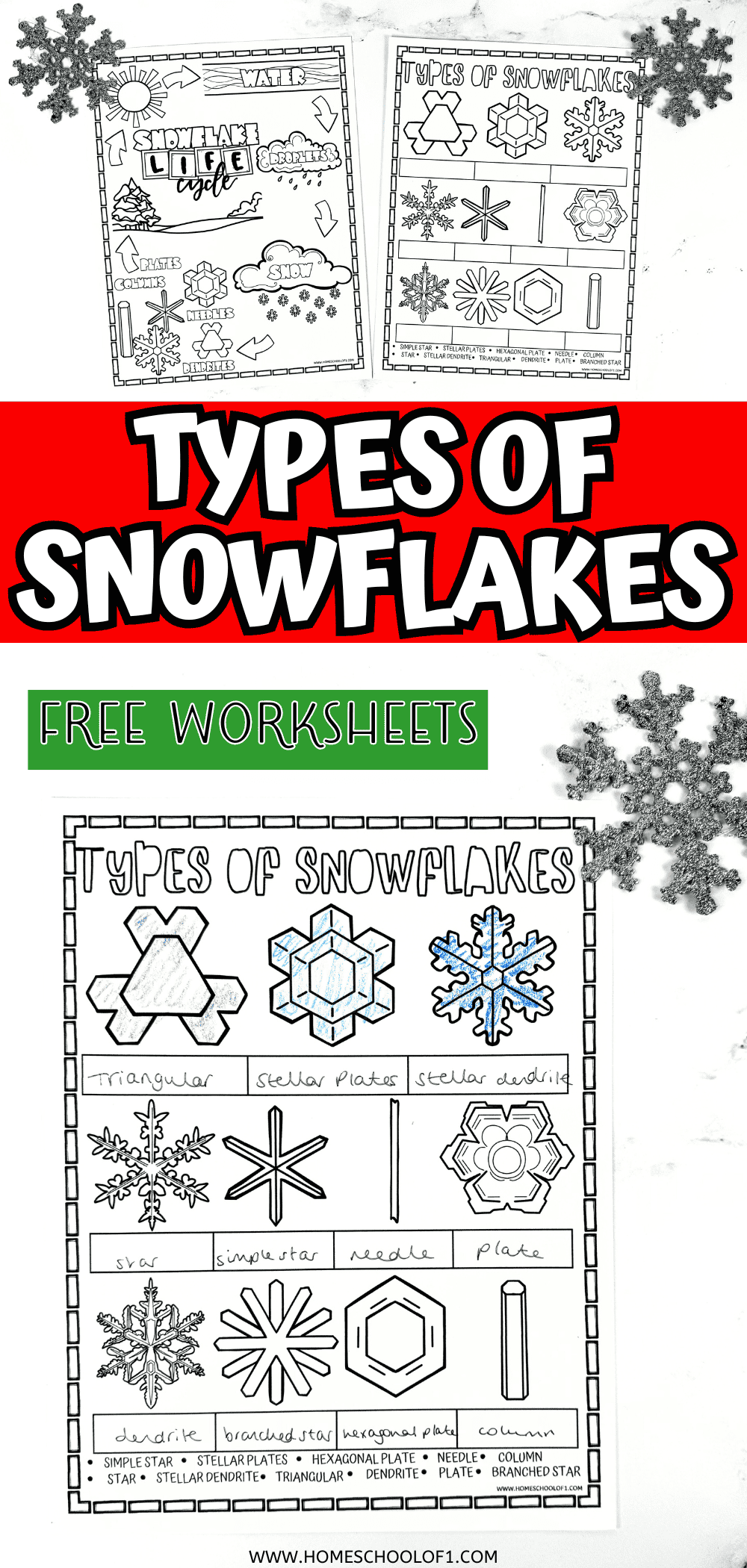 Free Snowflake Life Cycle Worksheet