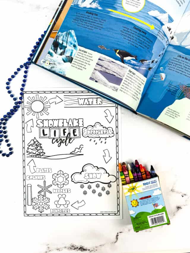 Free Snowflake Life Cycle Worksheet