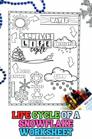 Free Snowflake Life Cycle Worksheet