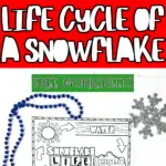 Free Snowflake Life Cycle Worksheet