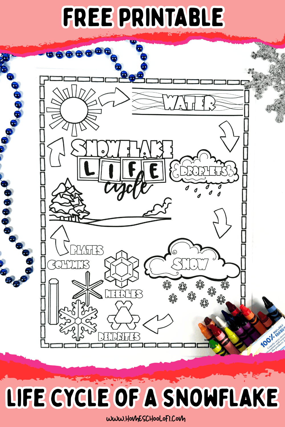 Free Snowflake Life Cycle Worksheet