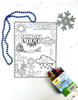 Free Snowflake Life Cycle Worksheet