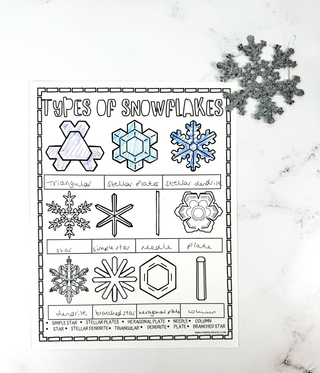 Free Snowflake Life Cycle Worksheet
