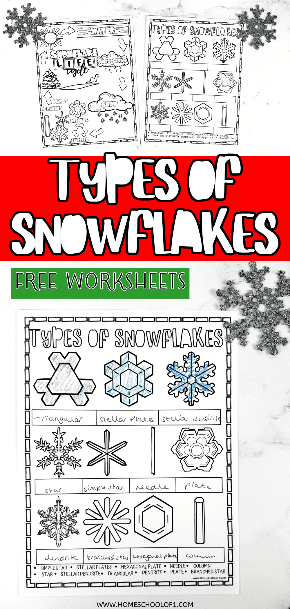 Free Snowflake Life Cycle Worksheet