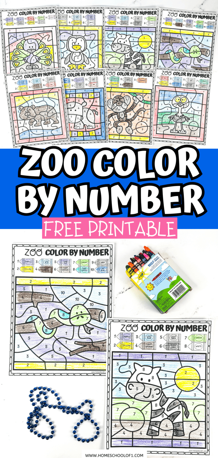 Free Zoo Color By Number Worksheets