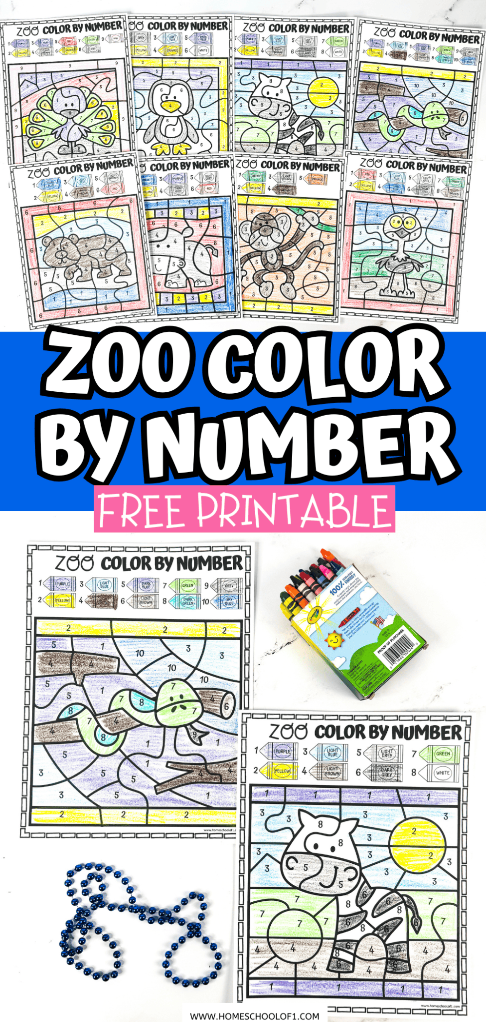 Free Zoo Color By Number Worksheets