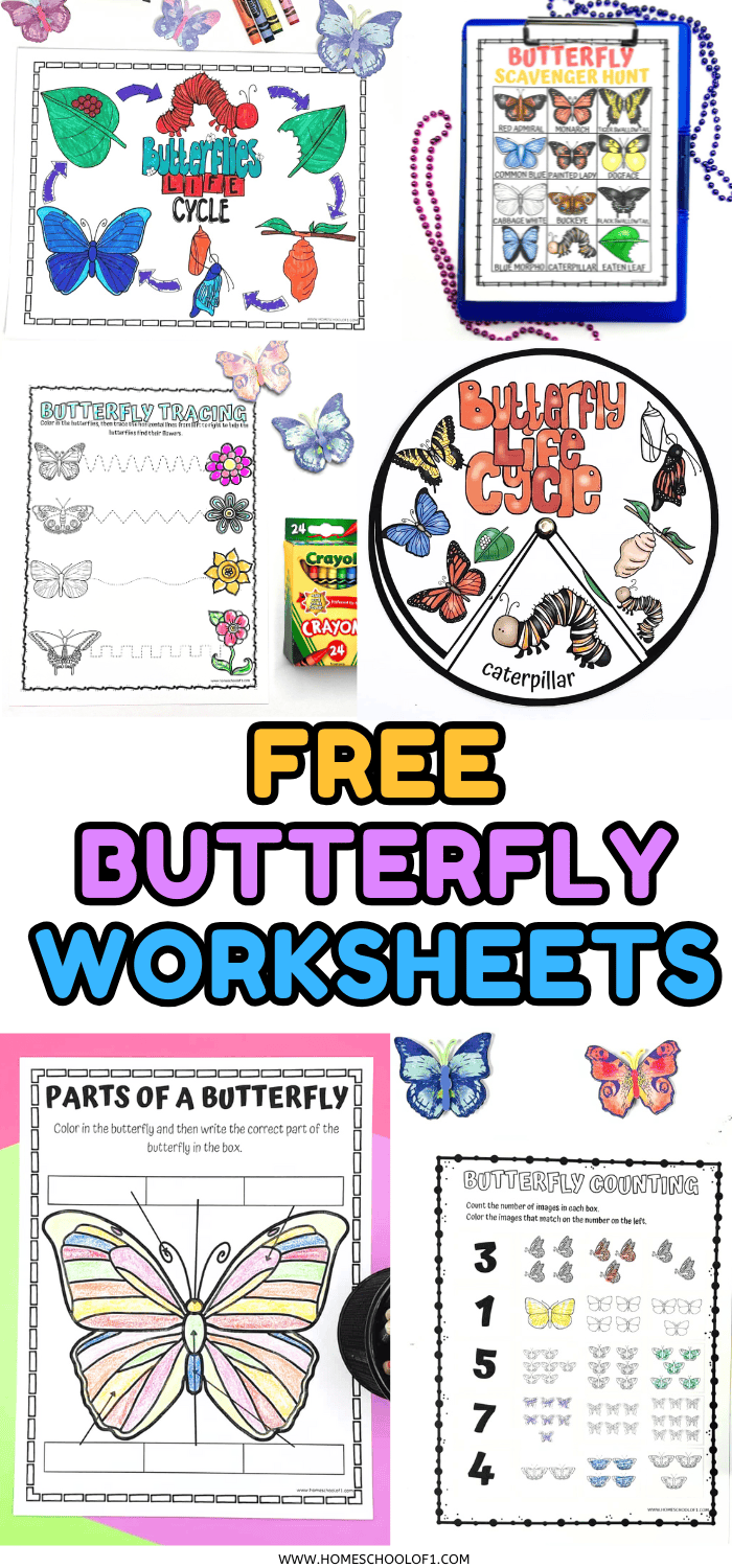 Free Printable Butterfly Worksheets for Kids