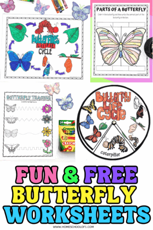 Free Printable Butterfly Worksheets for Kids