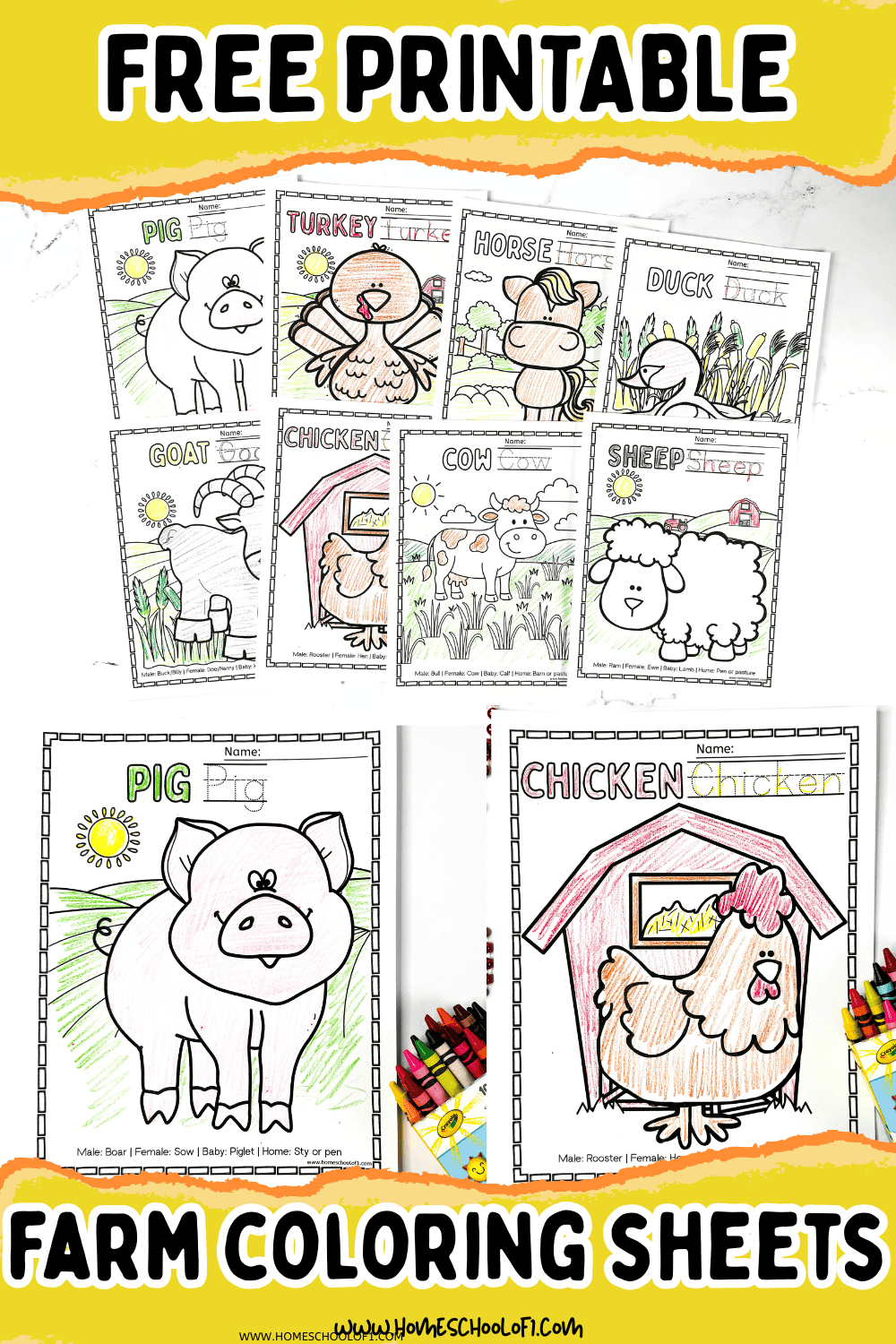 Farm Animal Coloring Pages for Preschool to 2nd Grade