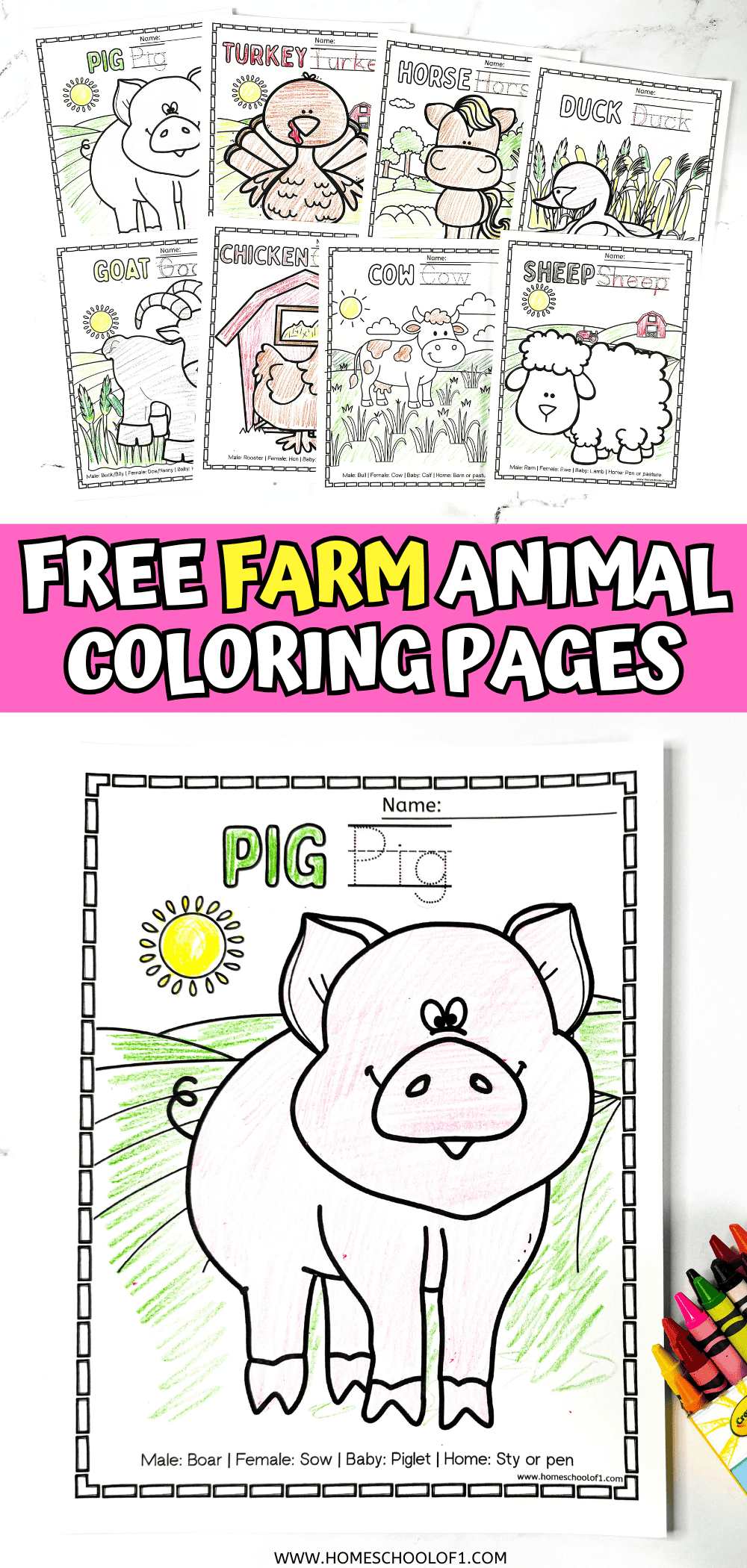 Farm Animal Coloring Pages for Preschool to 2nd Grade