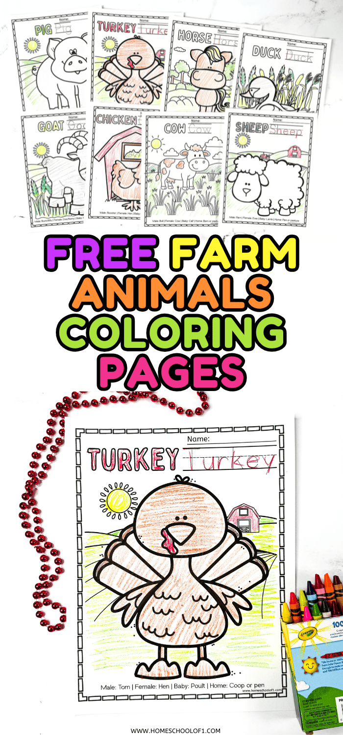 Farm Animal Coloring Pages for Preschool to 2nd Grade