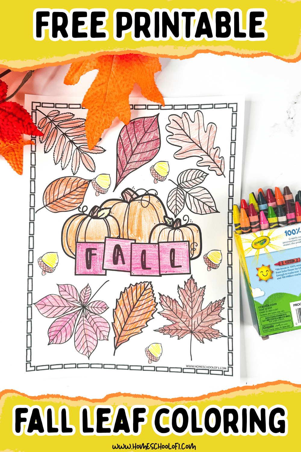 Free Fall Leaves Coloring Sheet