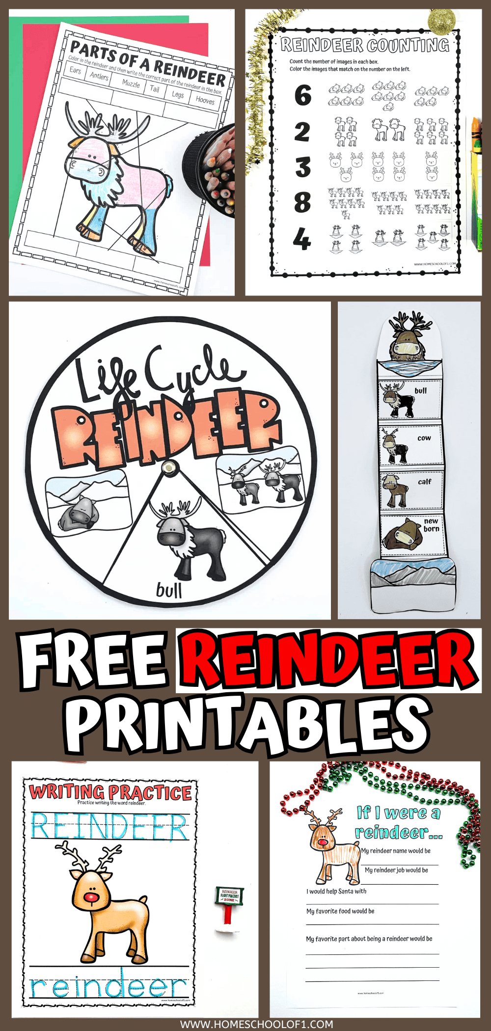 Free Reindeer Worksheets for Kids
