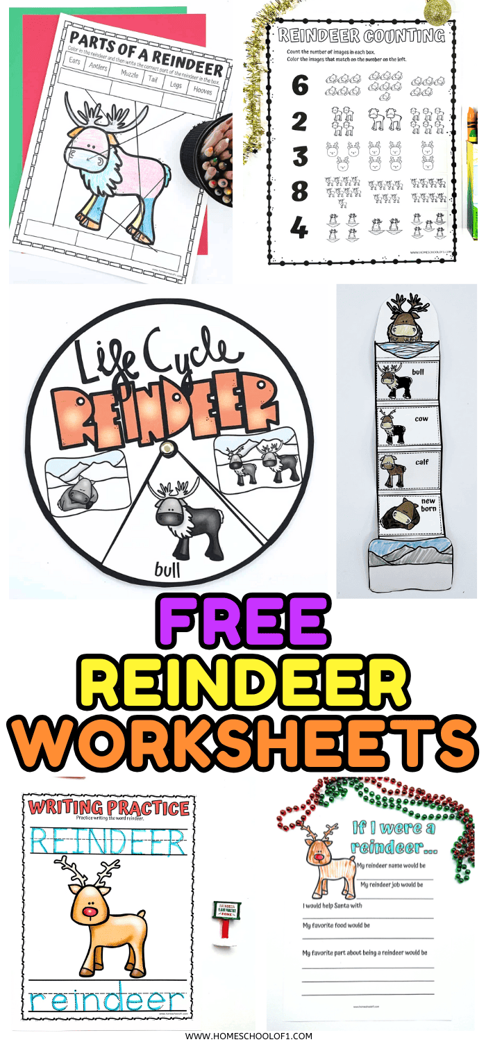 Free Reindeer Worksheets for Kids