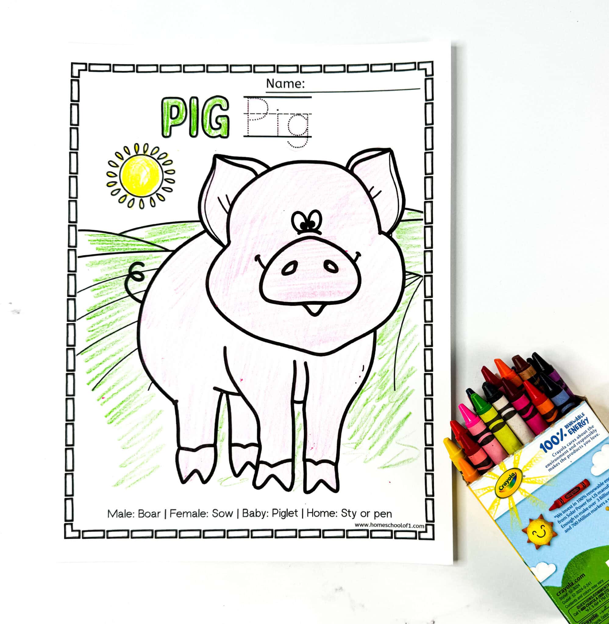 Farm Animal Coloring Pages for Preschool to 2nd Grade