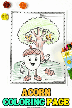 Free Acorn Coloring Page