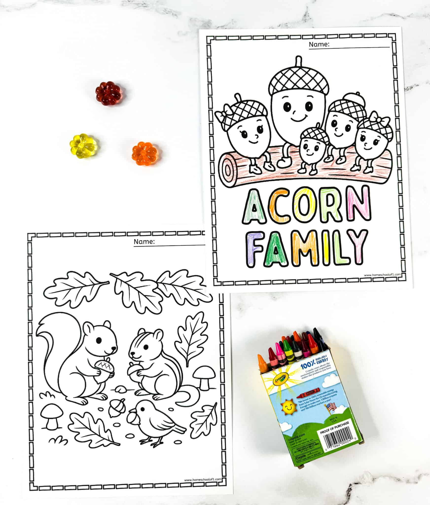 Free Acorn Coloring Page