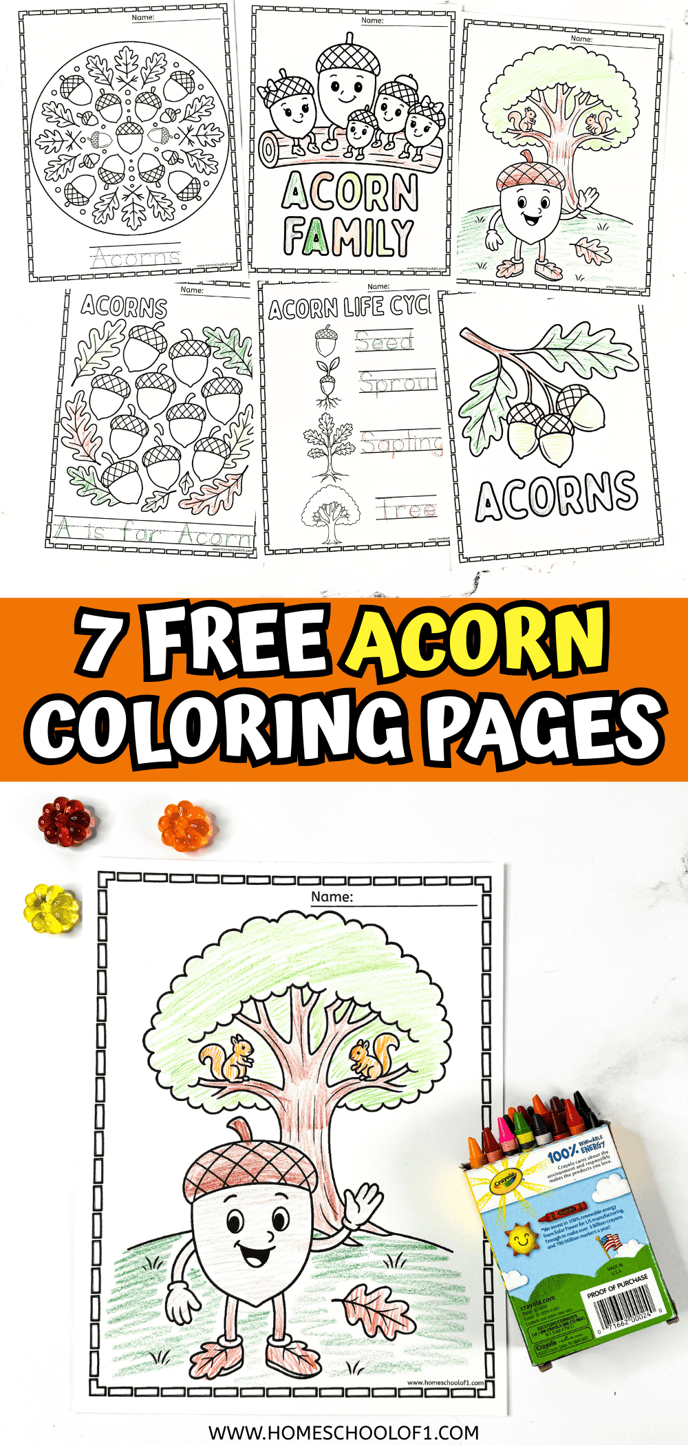 Free Acorn Coloring Page