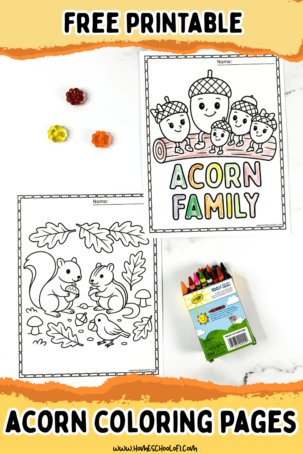 Free Acorn Coloring Page