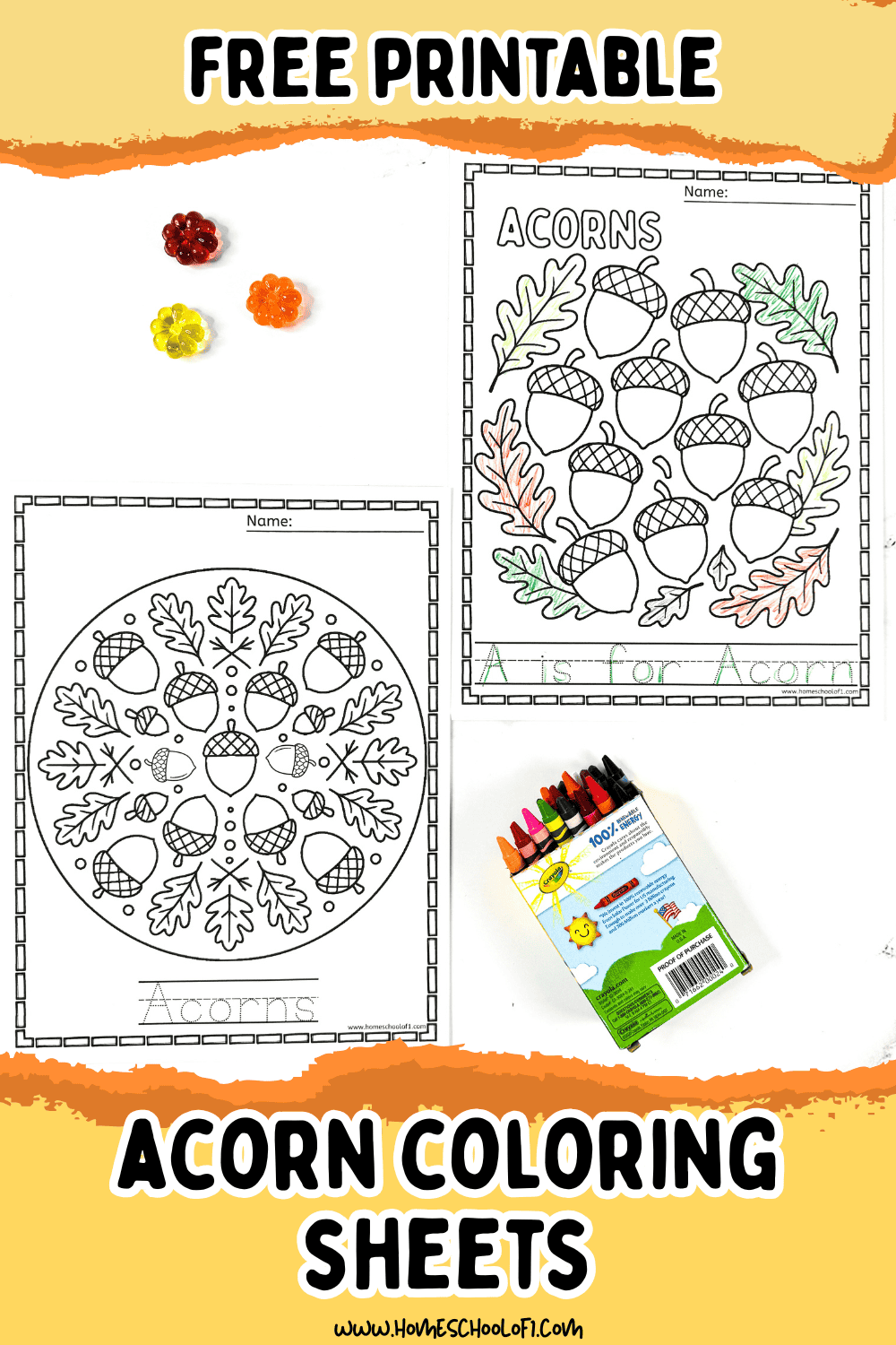 Free Acorn Coloring Page