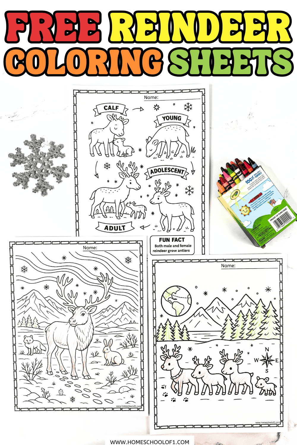 Free Reindeer Coloring Page for Kids