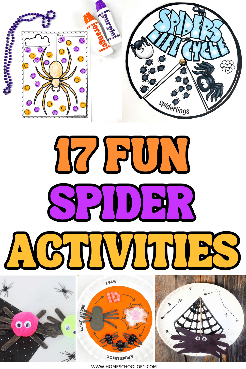 17 Fun Spider Activities for Kids to Learn and Play