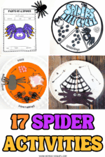 17 Fun Spider Activities for Kids to Learn and Play