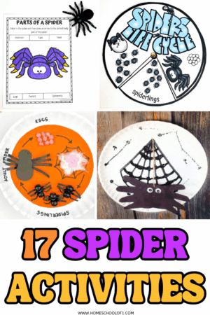 17 Fun Spider Activities for Kids to Learn and Play